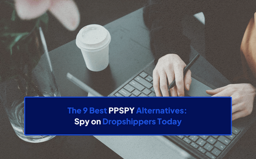 9 Best PPSPY Alternatives: Spy on Dropshippers Today | Dropship